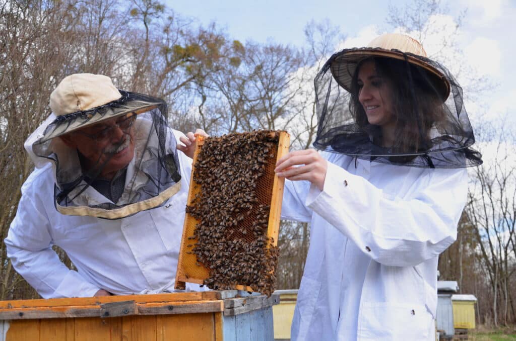 IICA continues help to beekeepers - IICA 2024
