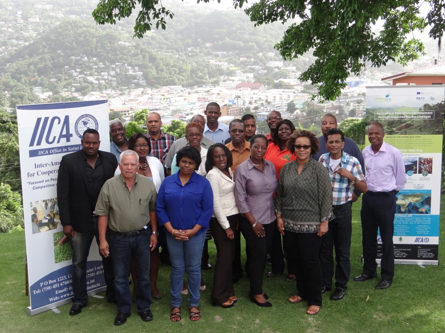 Saint Lucia - IICA 2024
