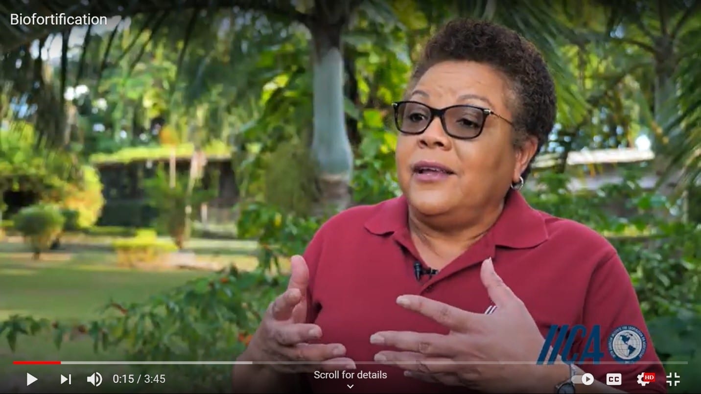 Biofortified Rice and Beans Trials - IICA 2024