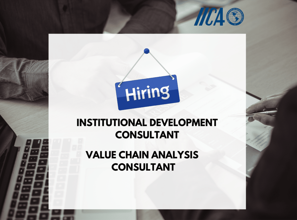 Consultants Needed: Institutional Development Consultant and Value ...