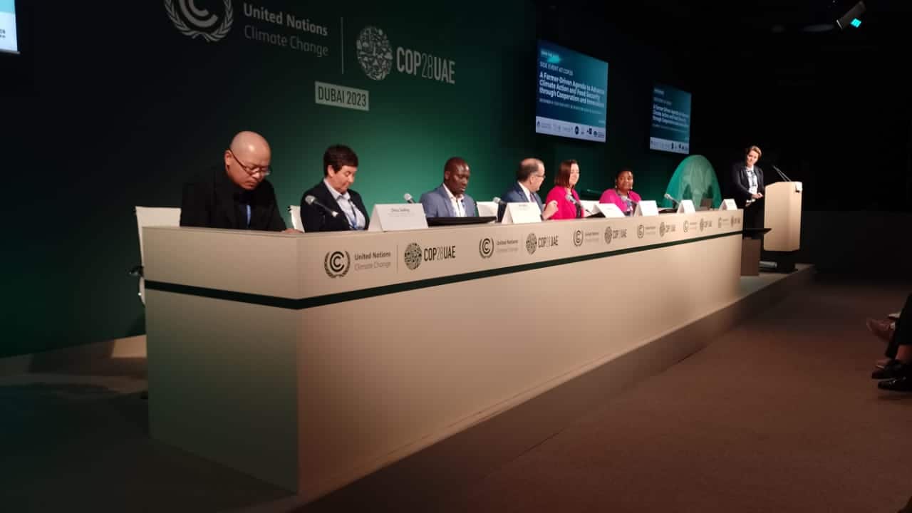 At COP28, farmers demonstrate their resilience and ability to ...
