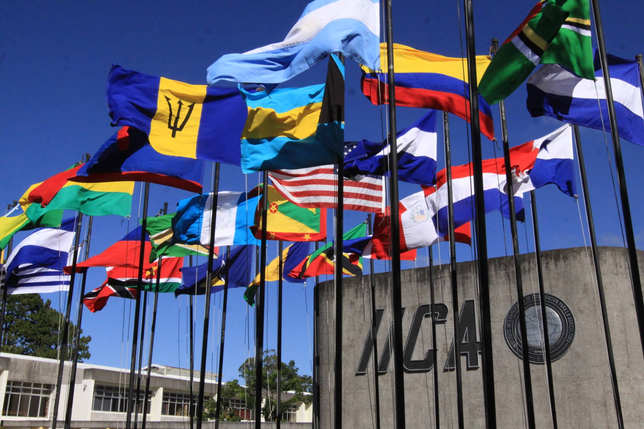 Jack Bobo, a American professor, named IICA Chair for his commitment to ...