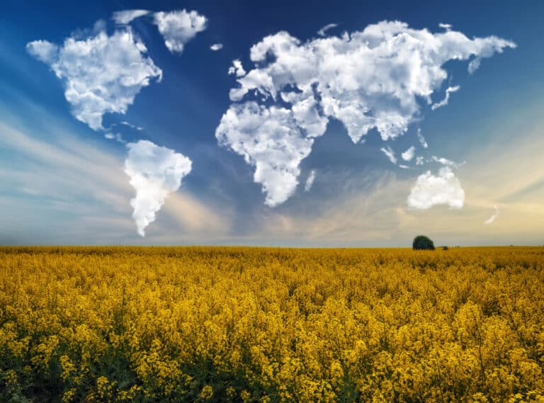 Costa Rica digitaliza su mercado agropecuario con CENADA DIGITAL, con ...