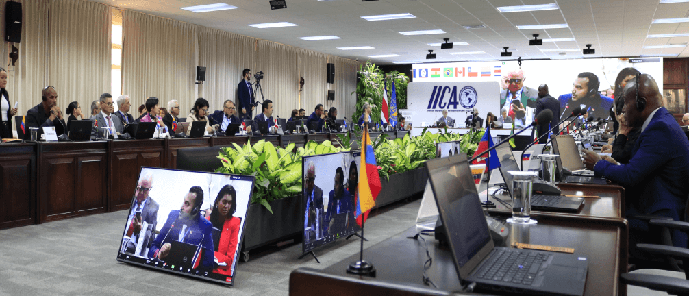 Programas y proyectos técnicos – en - IICA 2024