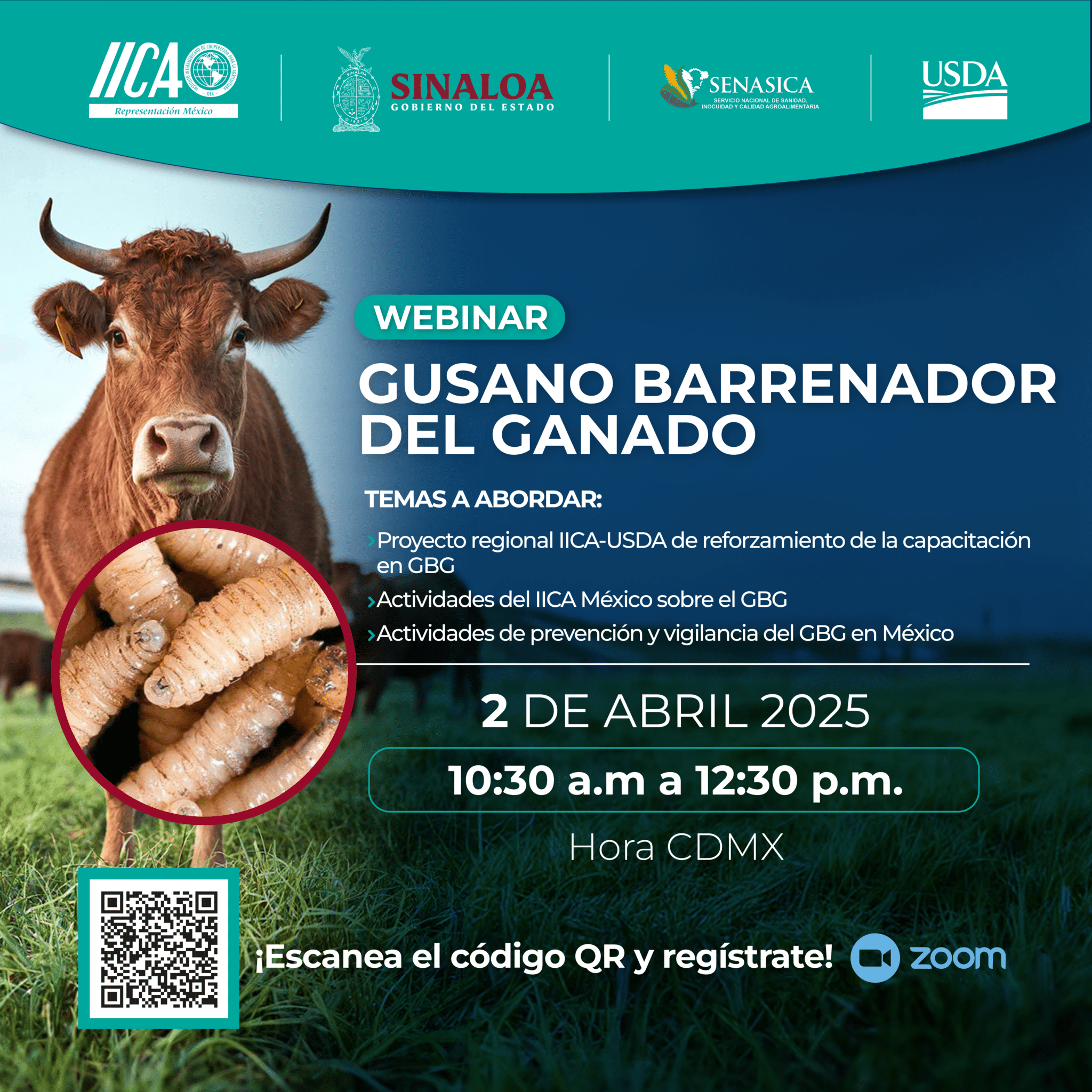Webinar: Gusano barrenador del ganado (ANETIF) - IICA
