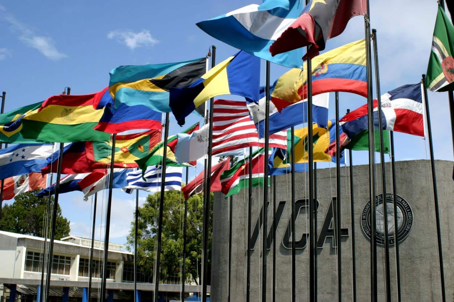 Instituto Interamericano de Cooperación para la Agricultura ...