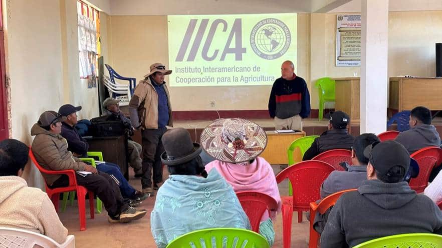 Bolivia implements next stage of efforts to save high-altitude wetlands ...